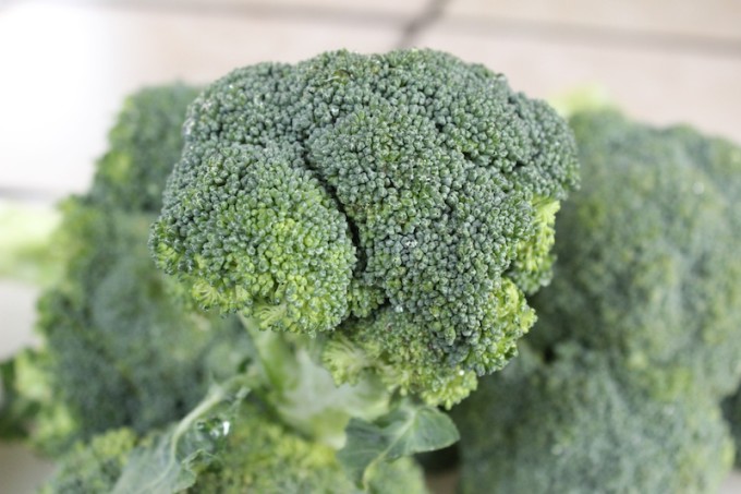 The Simplest Roasted Broccoli | Tasty Oasis